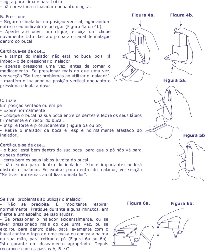 GIBITER EASYHALER - Folheto Informativo